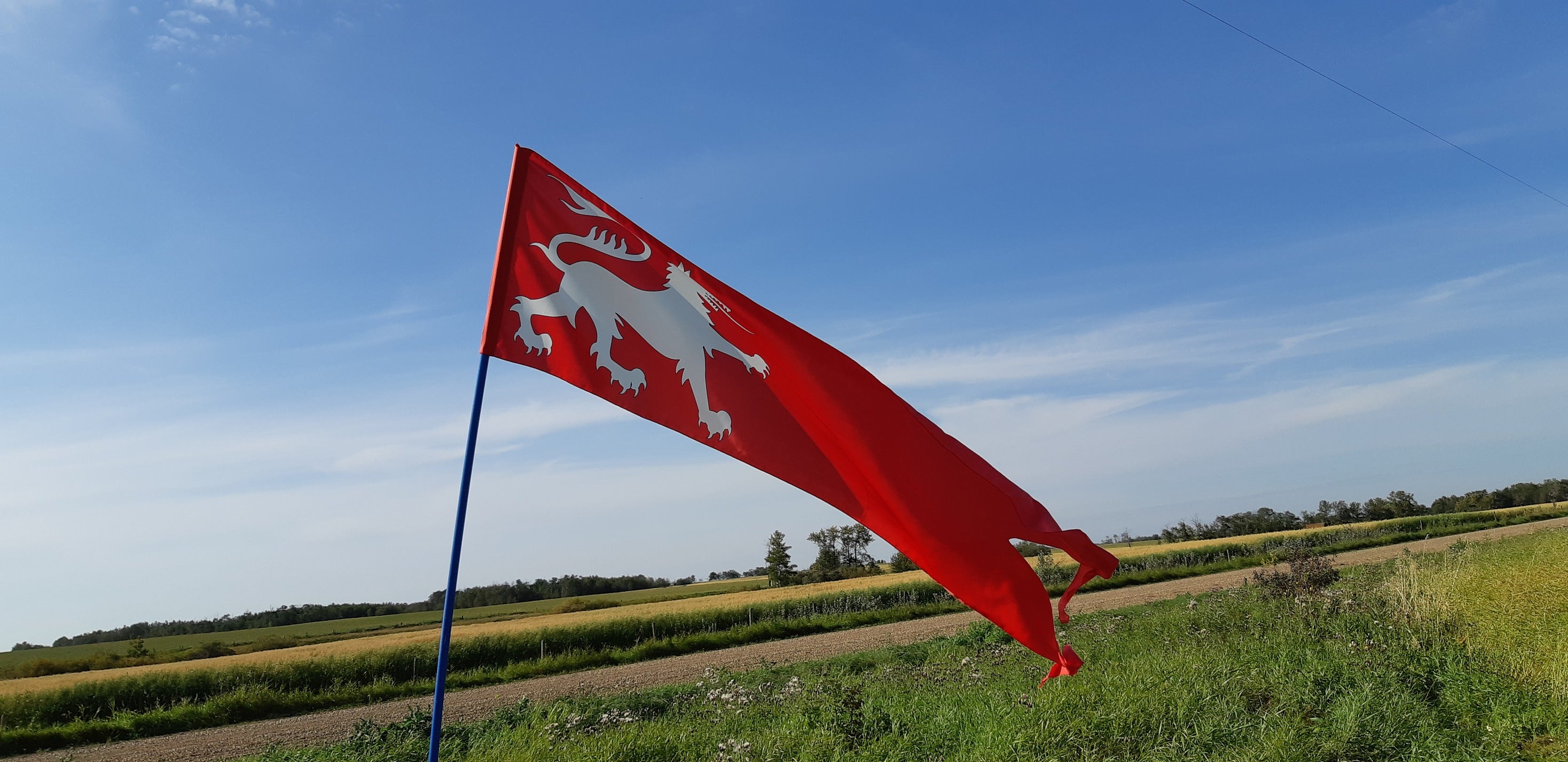 Ealdormere Kingdom Ensign Swallow Tailed Banner (88" x 22") 100% Habot ...